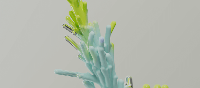 Wound Care – Biomiq